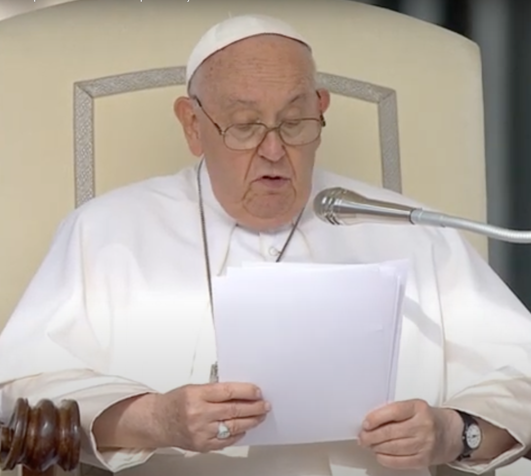 Audience générale: "le chrétien est appelé à se salir les mains" - CathoBel
